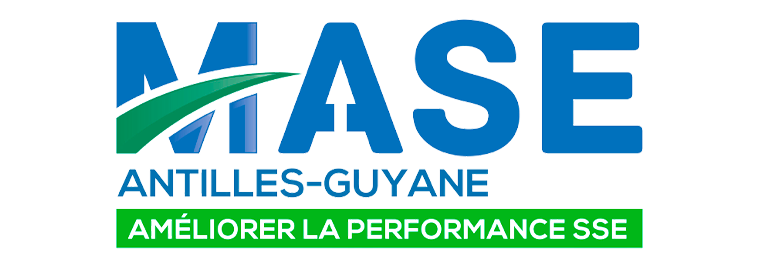 21 septembre 2022 : réunion du Bureau Mase Antilles-Guyane - Grand Port ...